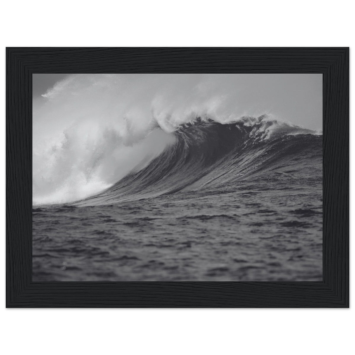 The Wave – Fox and Glow